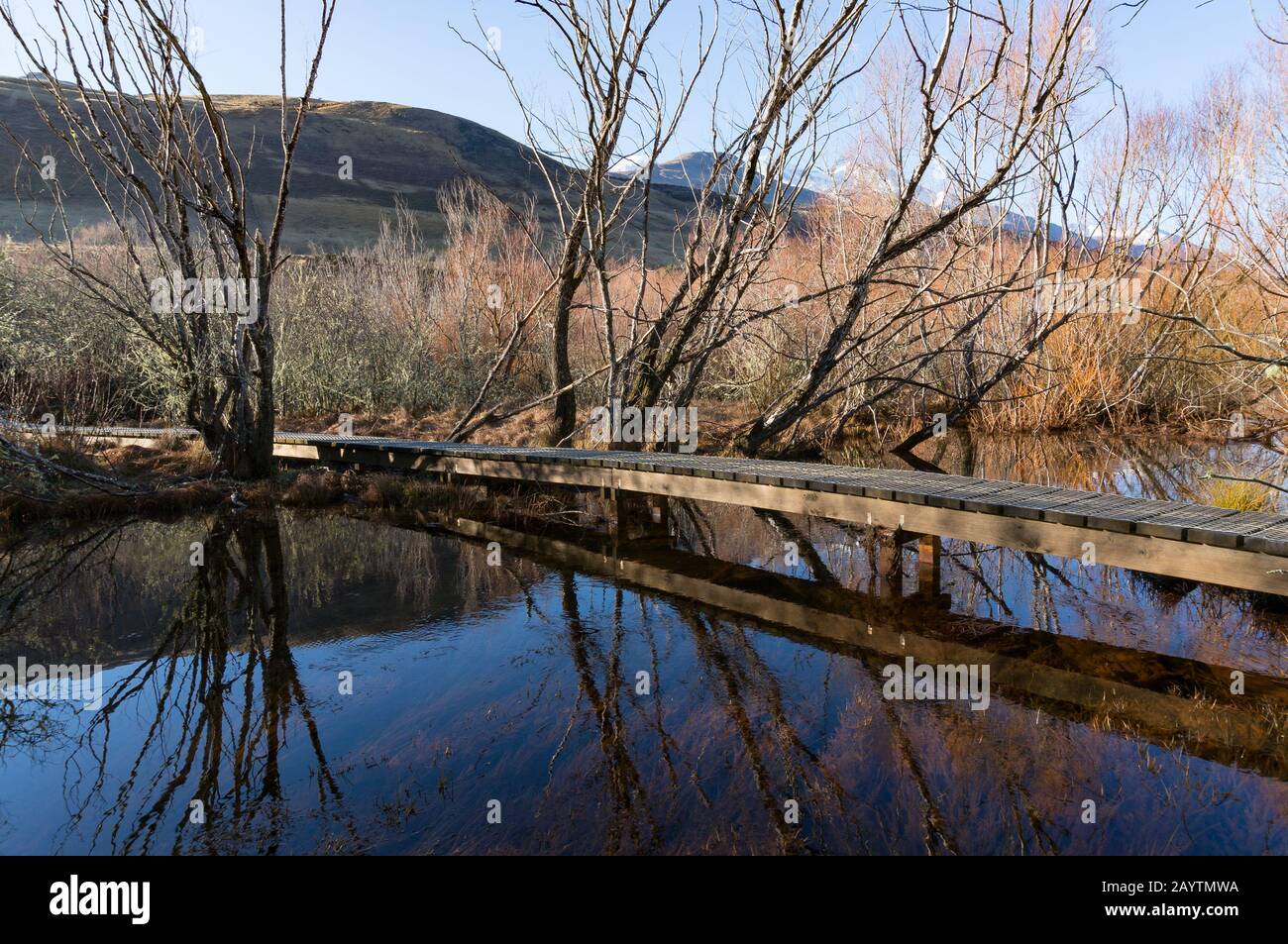 Wooden footpath river crossing landscape with barren trees and ...