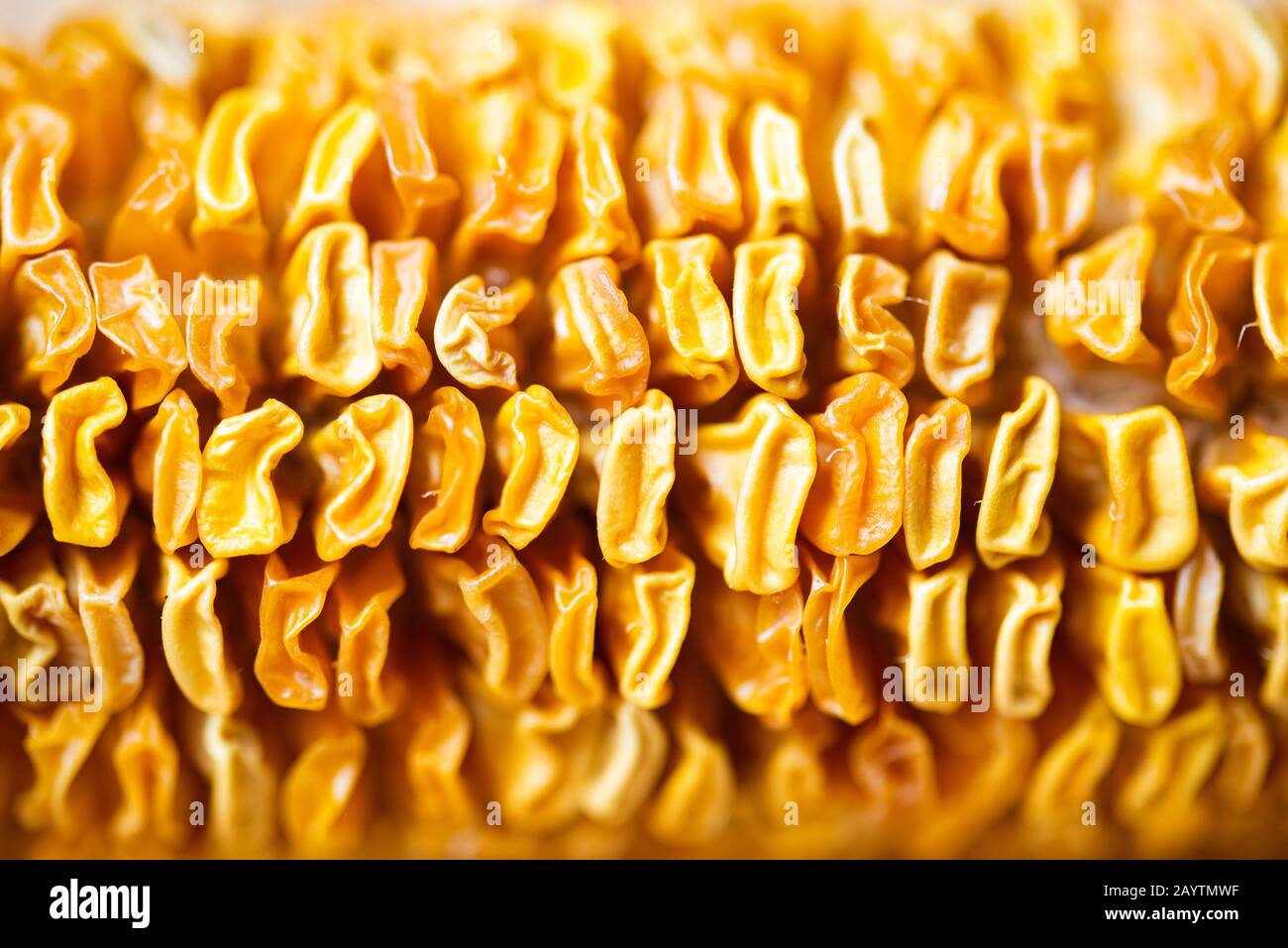 Shrivel High Resolution Stock Photography and Images - Alamy