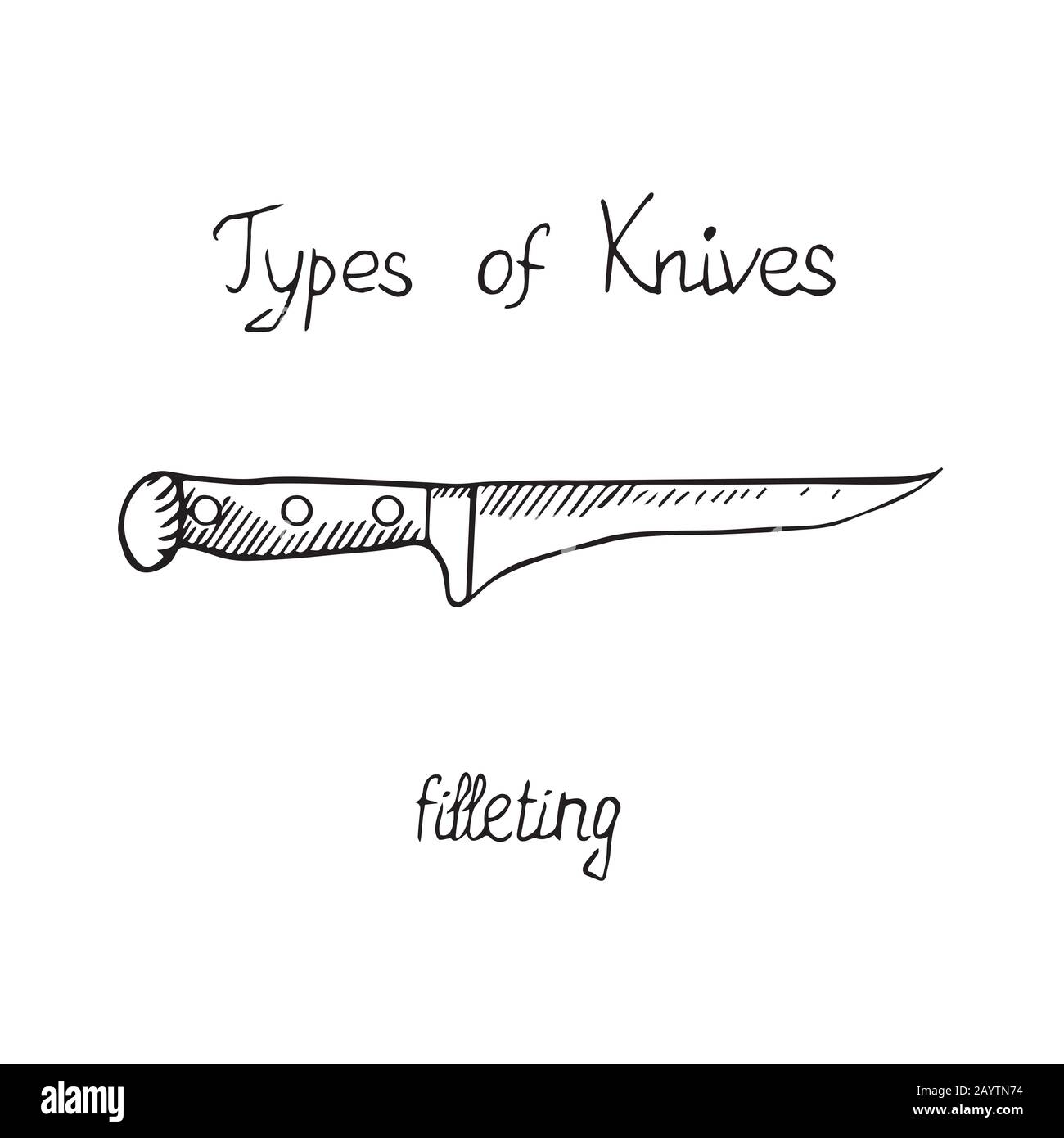 Knife types, filleting, outline illustration with inscription Stock ...
