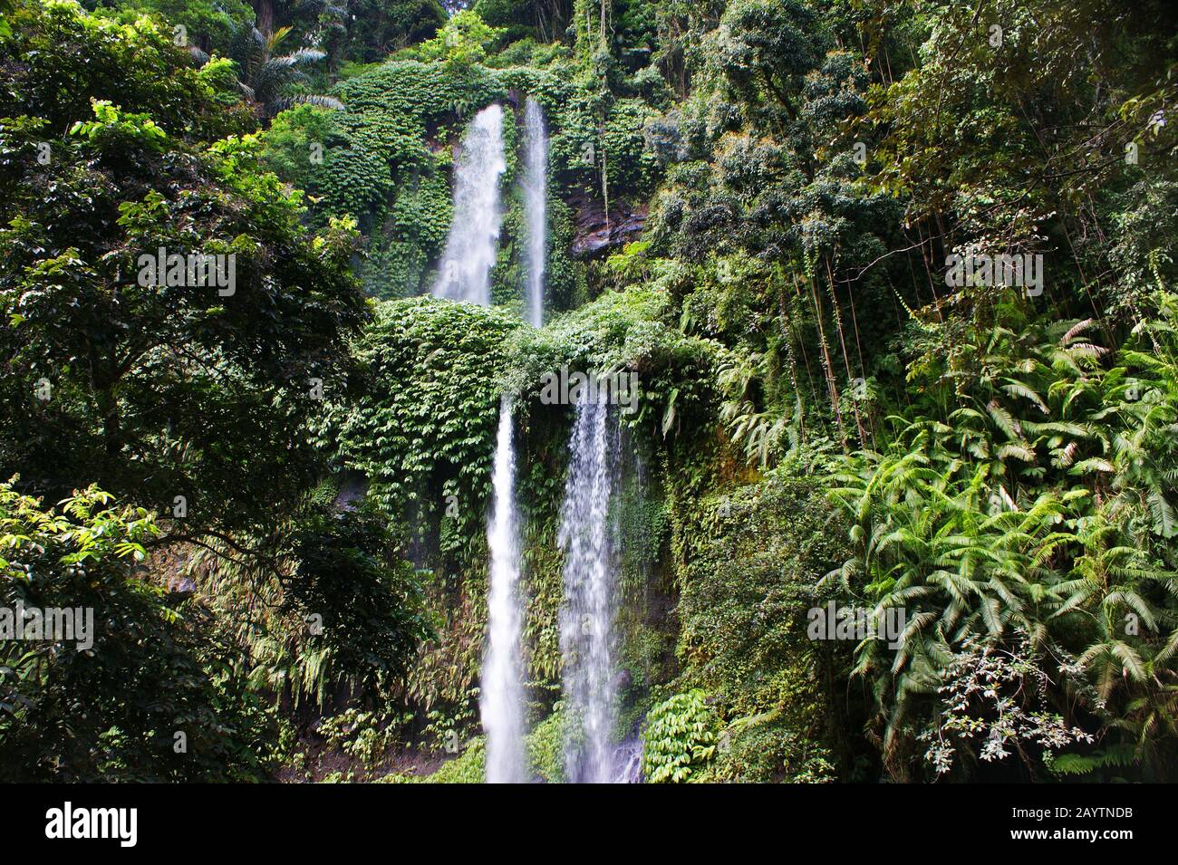 Sendang Gile Waterfall, Lombok, Nusa Tenggara, Indonesia Stock Photo ...