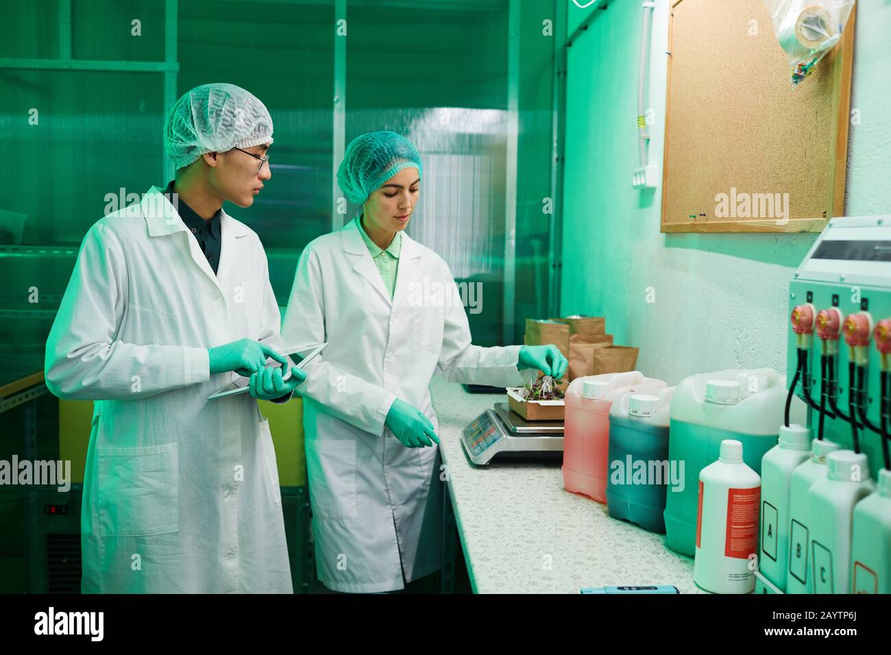 Hospital plantation hi-res stock photography and images - Alamy