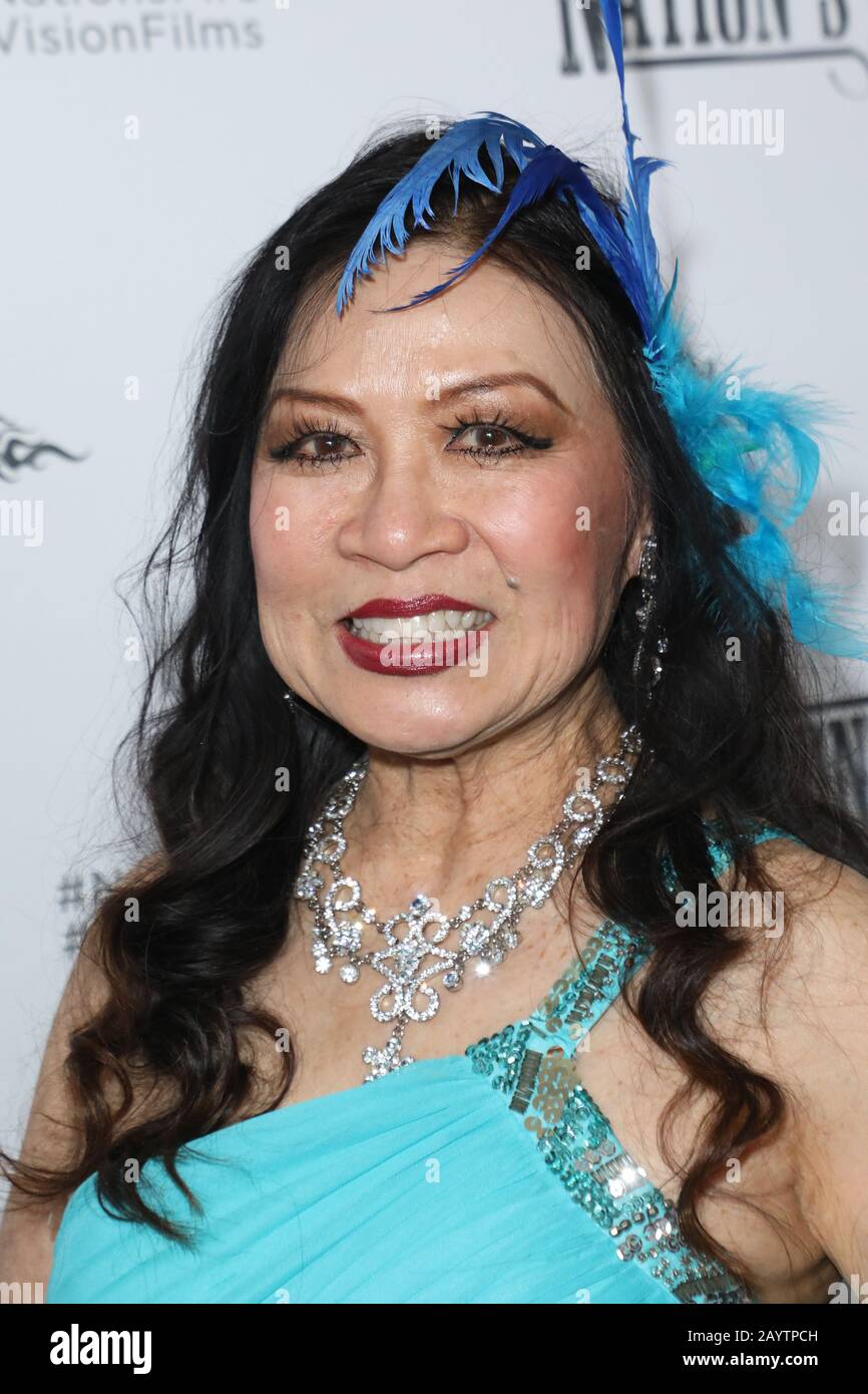 Los Angeles Premiere of 'Nation's Fire' at The Landmark in Los Angeles ...