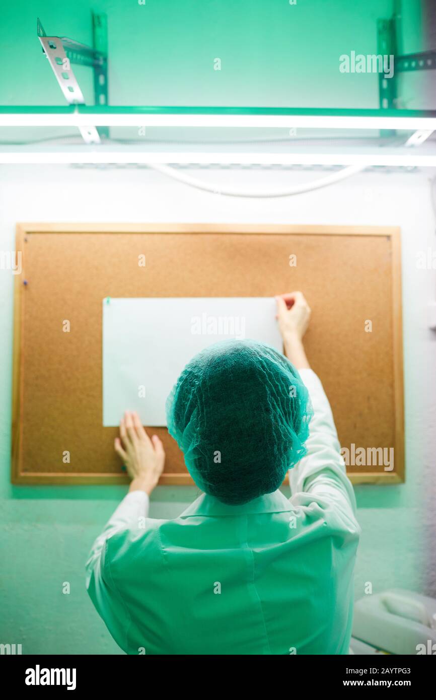 Back view of unrecognizable female doctor pinning blank sign on notice ...