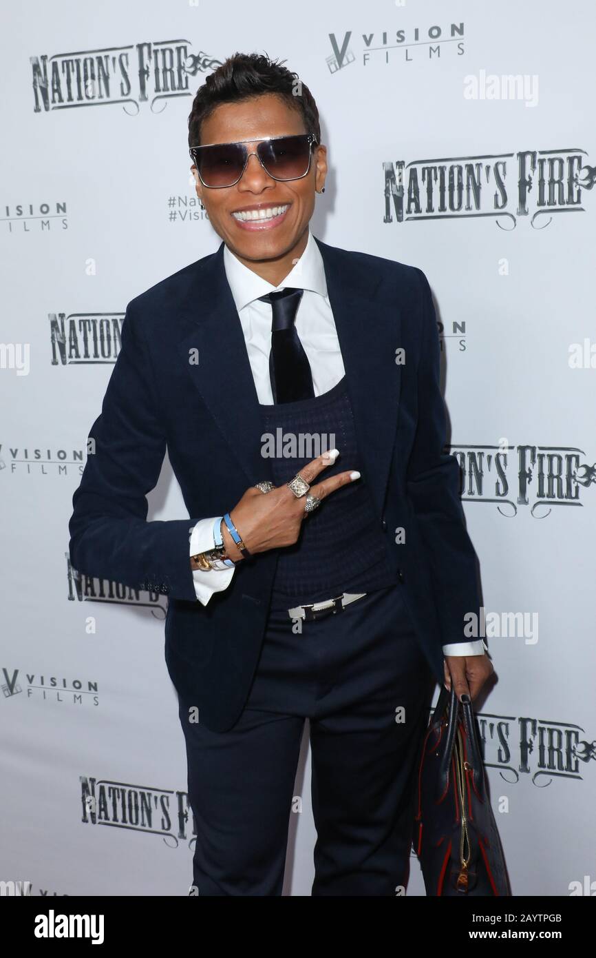 Los Angeles Premiere of 'Nation's Fire' at The Landmark in Los Angeles ...
