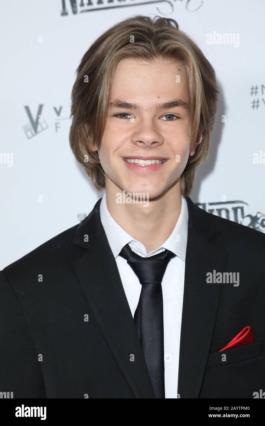 Los Angeles Premiere of 'Nation's Fire' at The Landmark in Los Angeles ...