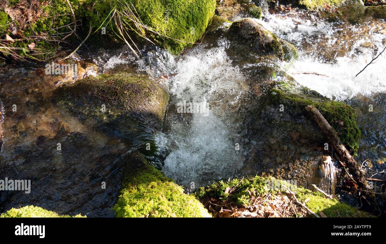 Creek environment hi-res stock photography and images - Alamy