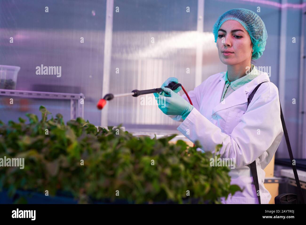 Laboratory worker plants hi-res stock photography and images - Alamy