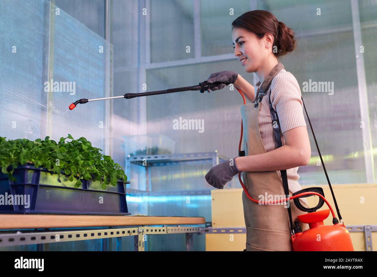 Side view portrait of smiling female worker spraying fertilizer over ...
