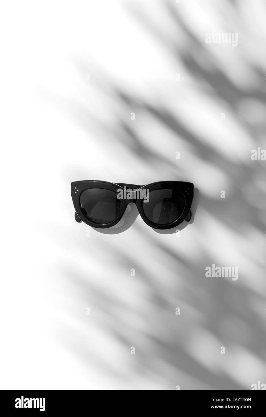Summer sunlight with palm leaf shadow with trendy sunglasses on white ...