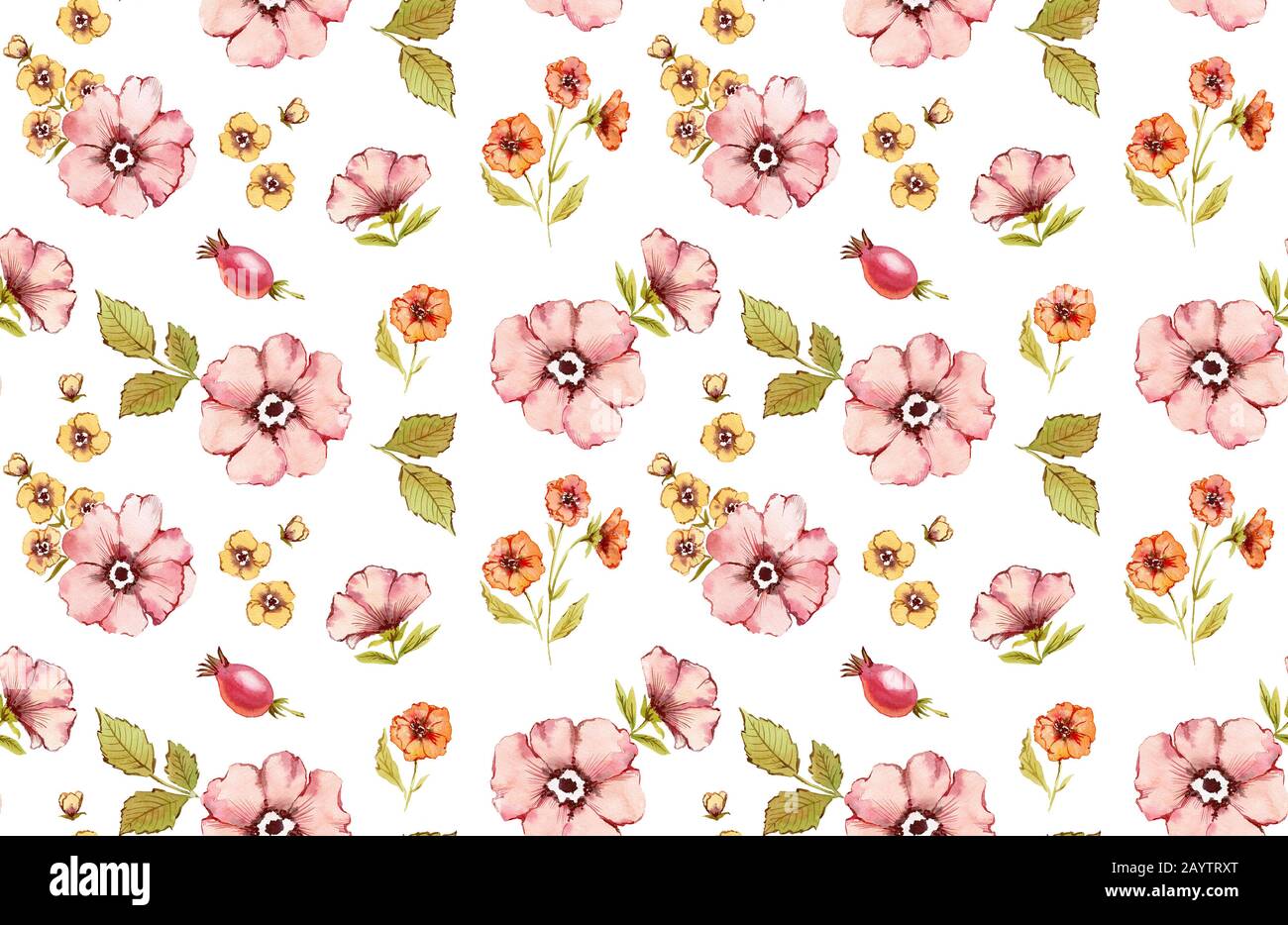 Seamless pattern botanical flowers Cut Out Stock Images & Pictures - Alamy