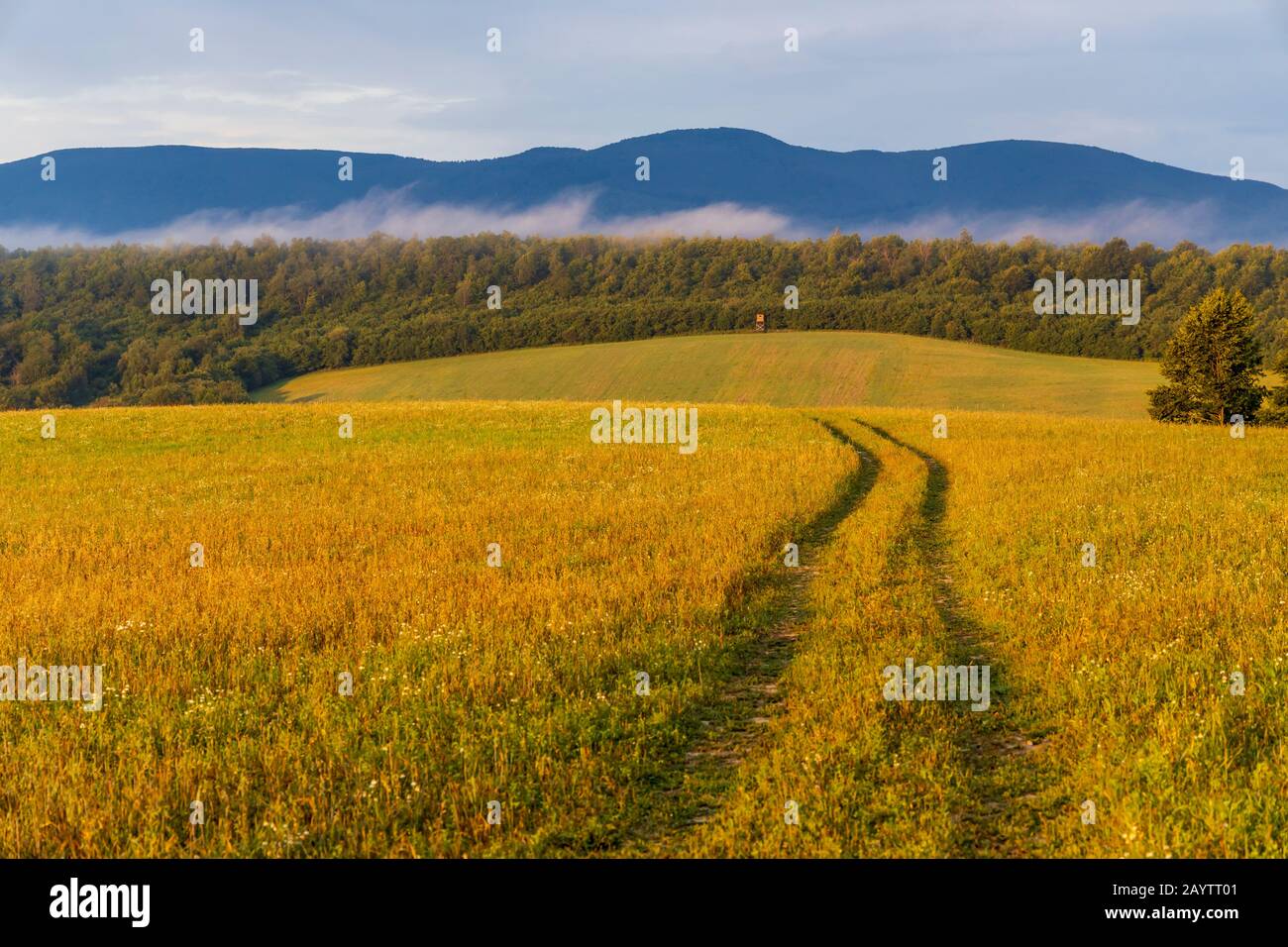 Vihorlat hi-res stock photography and images - Alamy
