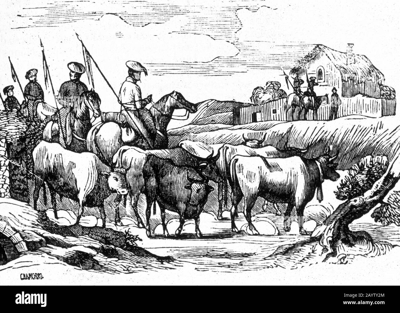 Carlistas hi-res stock photography and images - Alamy