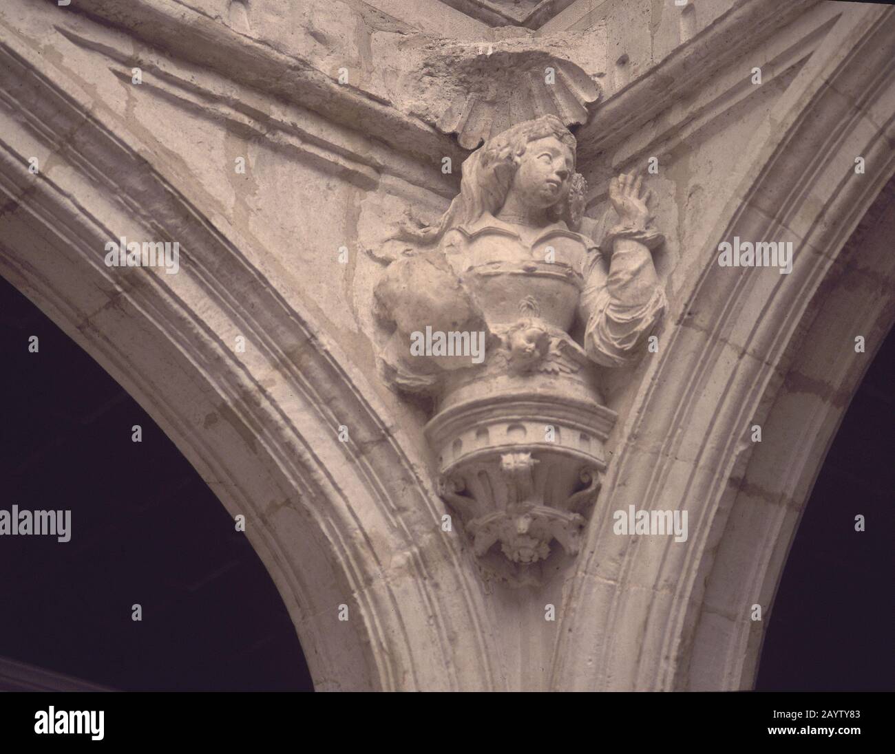 Venus diosa romana hi-res stock photography and images - Alamy