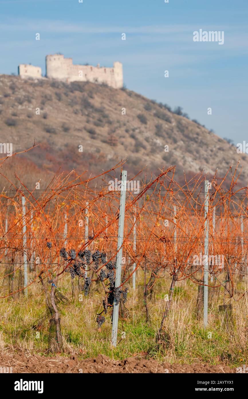 South Morava High Resolution Stock Photography and Images - Alamy