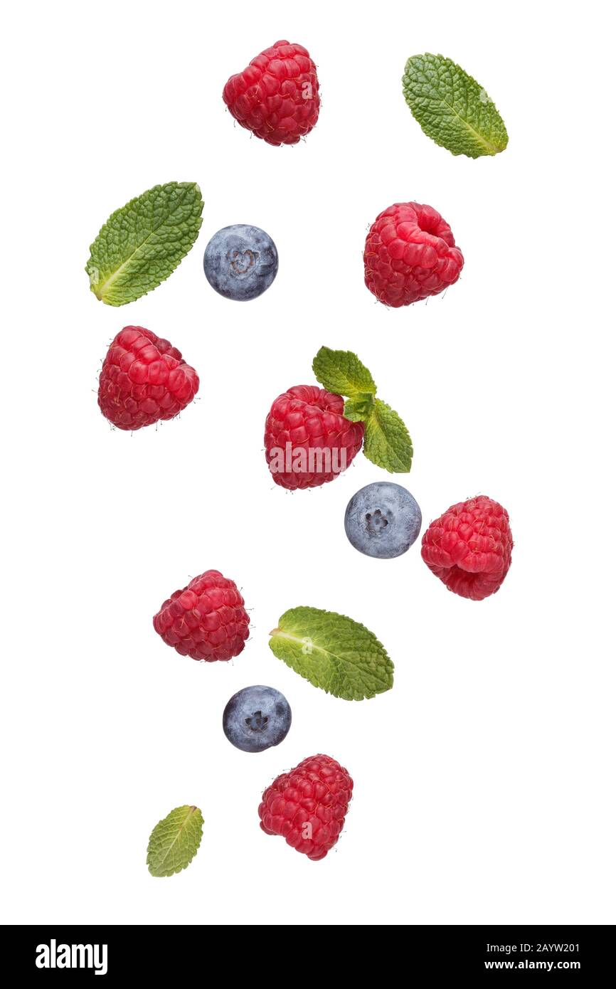Falling berries isolated on white background Stock Photo - Alamy