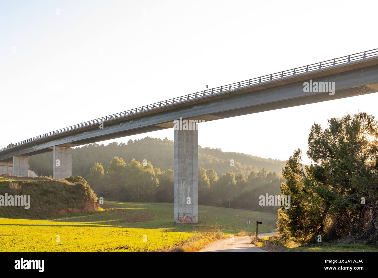 Bridge structure from underneath with background forest Stock Photo - Alamy