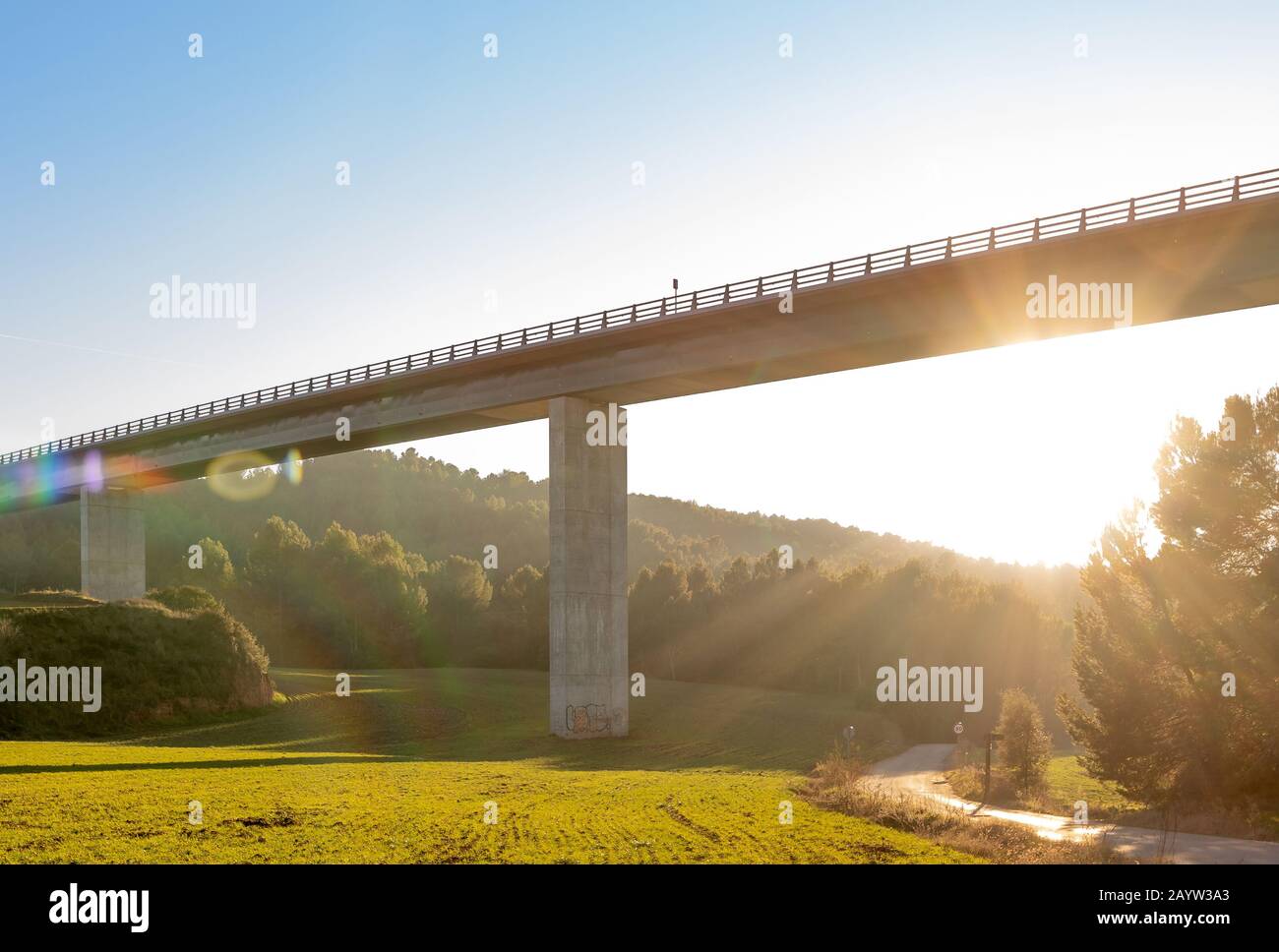 Bridge structure from underneath with background forest Stock Photo - Alamy