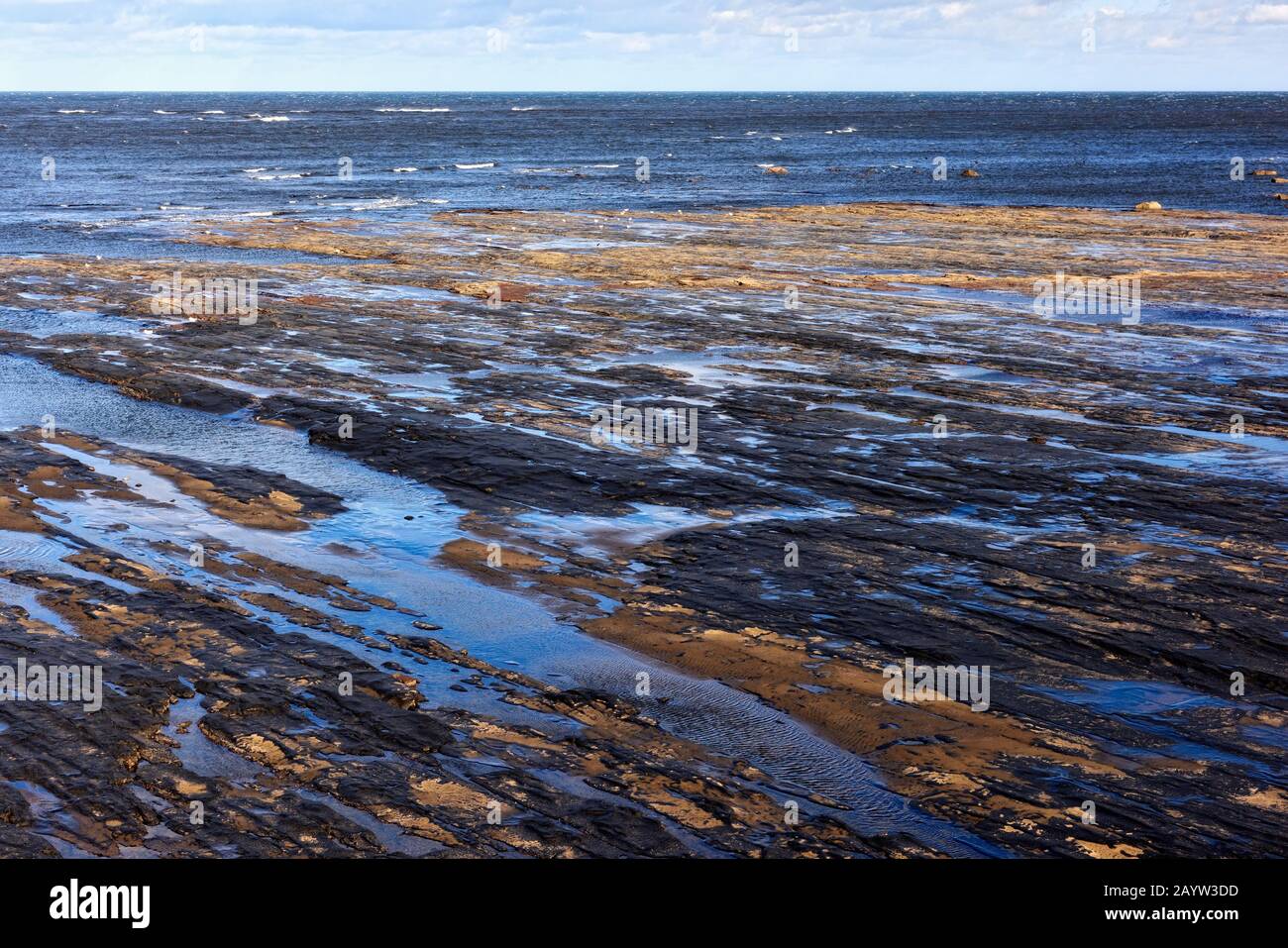 low tide rock pools on whitby beach north yorkshire england uk Stock ...