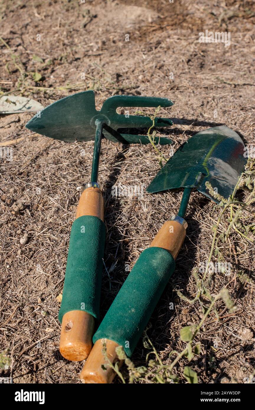 Gardening tools and utensils for plant care, above ground. Ready to ...