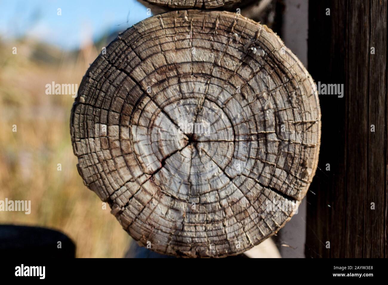 Cross pane view hi-res stock photography and images - Alamy