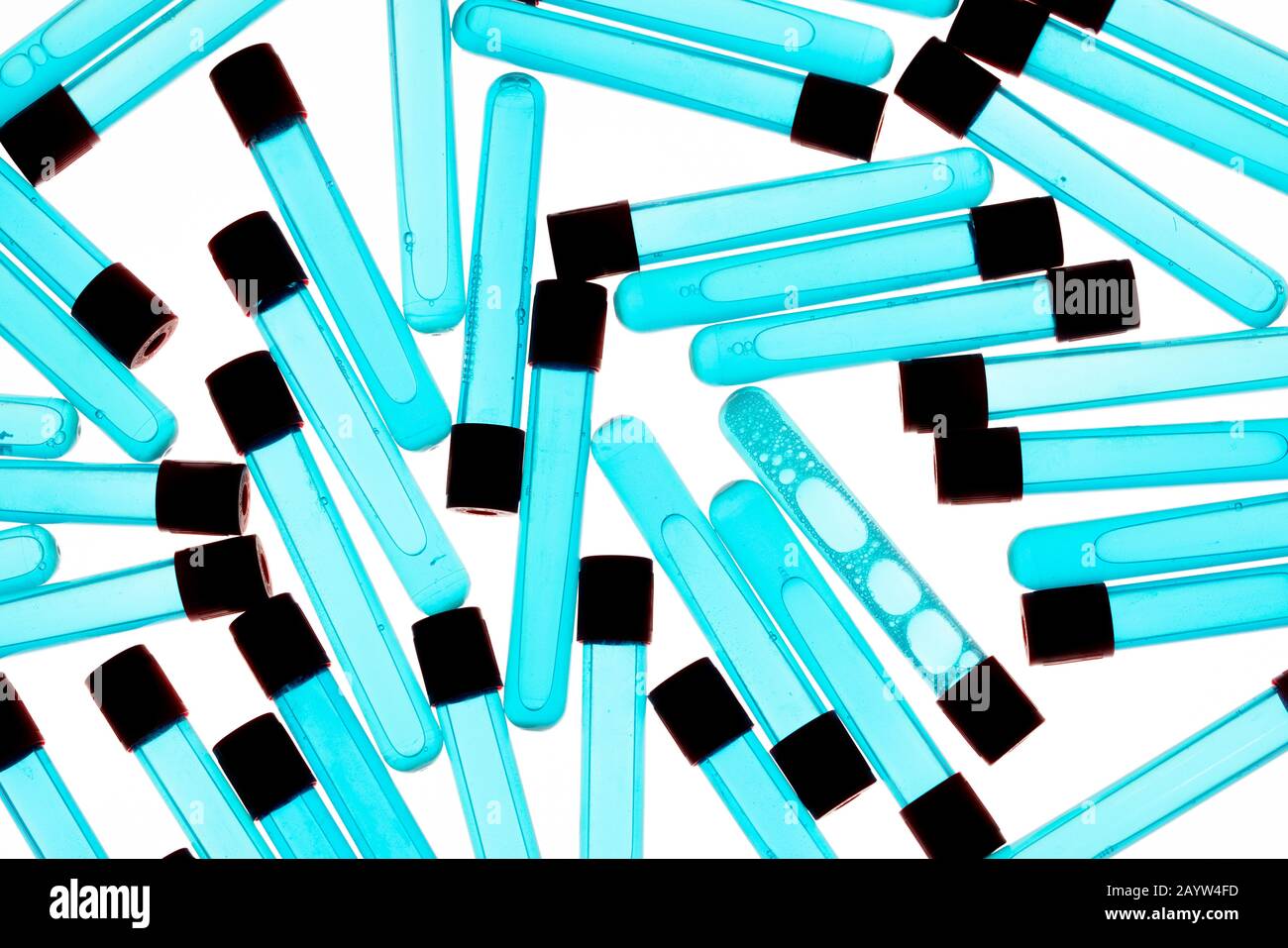 medicine test tubes for microbiological collection Flat lay, top view ...