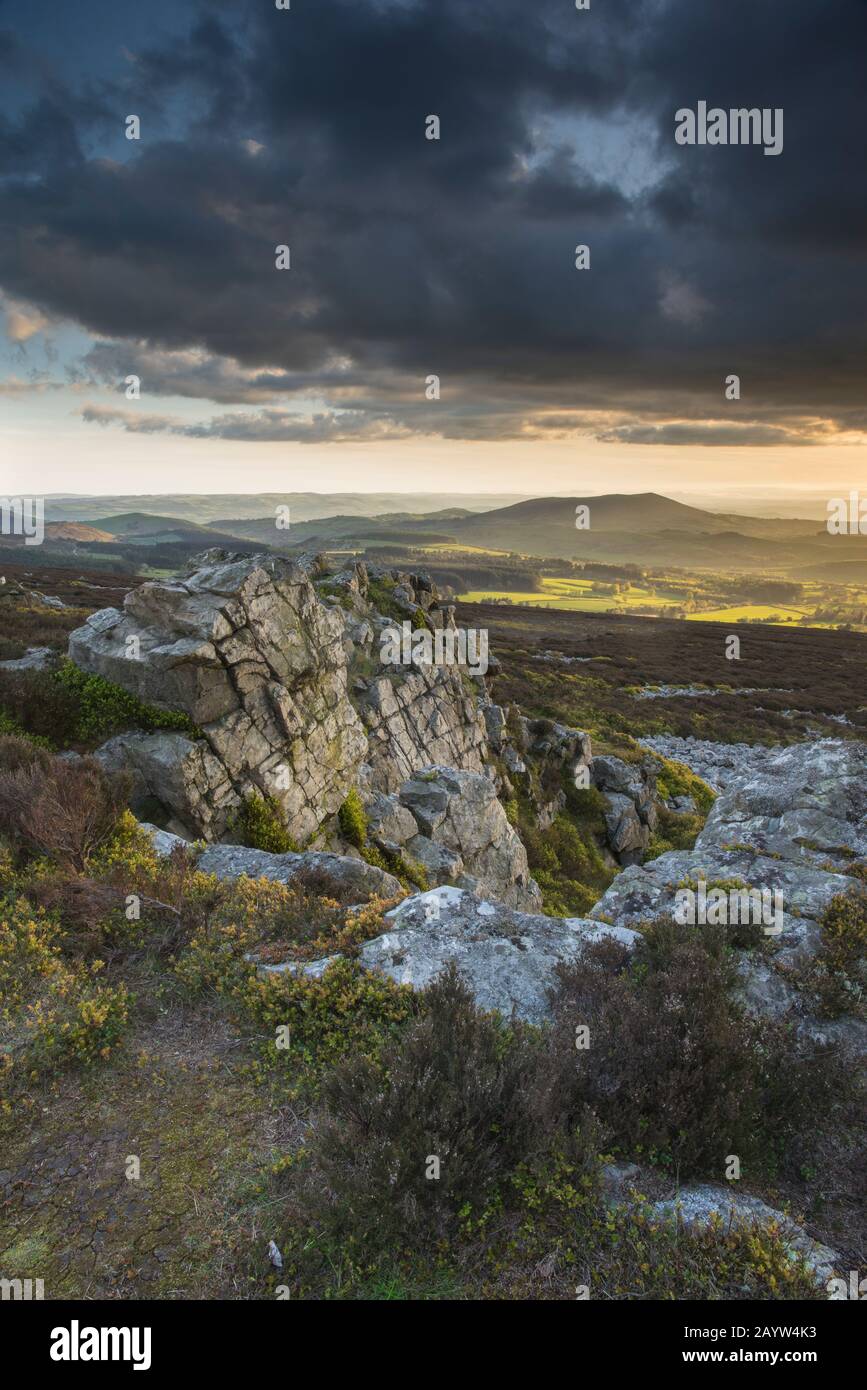 A wide view from Stiperstones, a shattered quartzite ridge near the ...