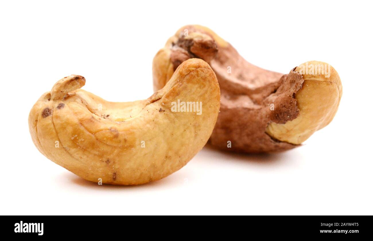 Cashew fruit image Cut Out Stock Images & Pictures - Alamy