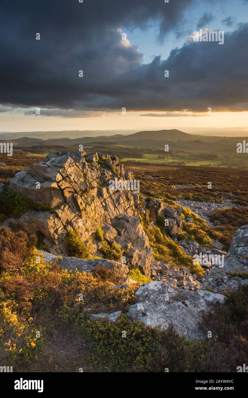A wide view from Stiperstones, a shattered quartzite ridge near the ...