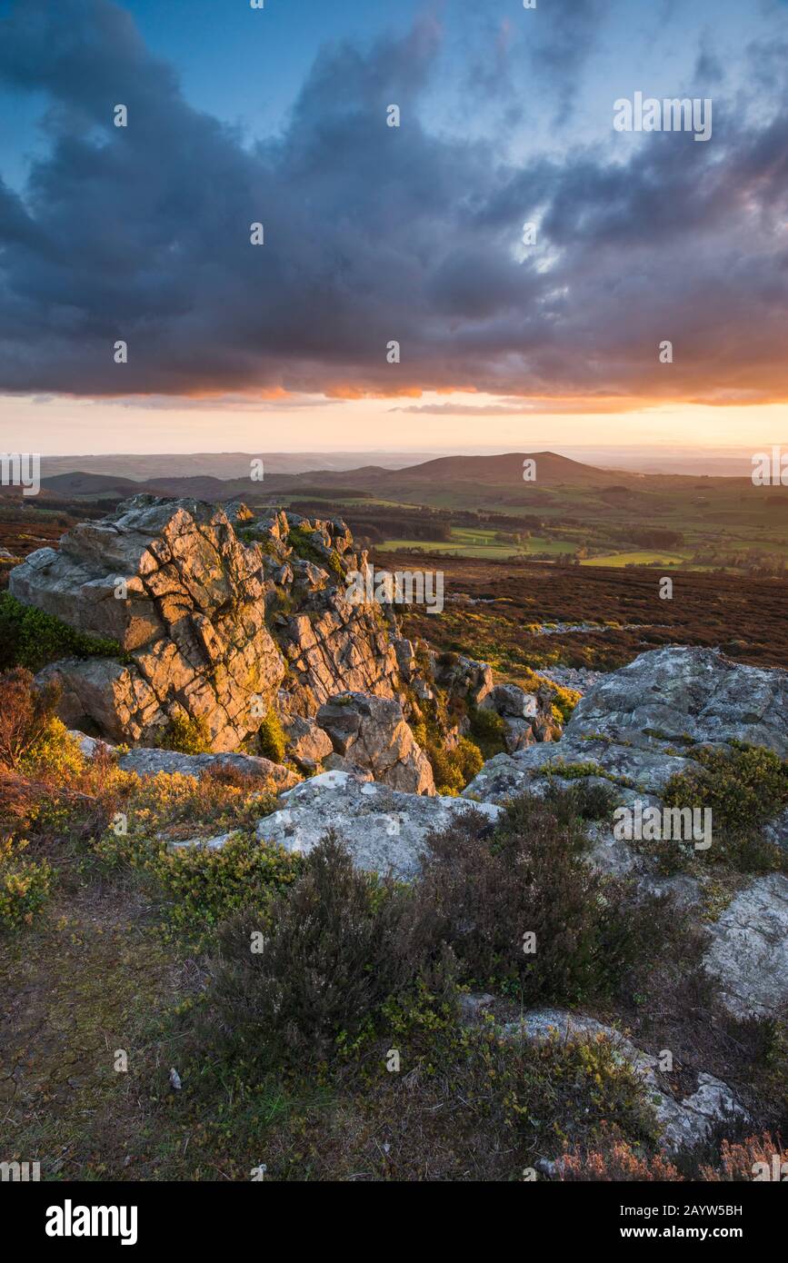 A wide view from Stiperstones, a shattered quartzite ridge near the ...