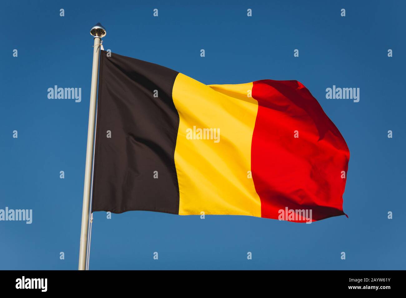 Belgium National Symbols