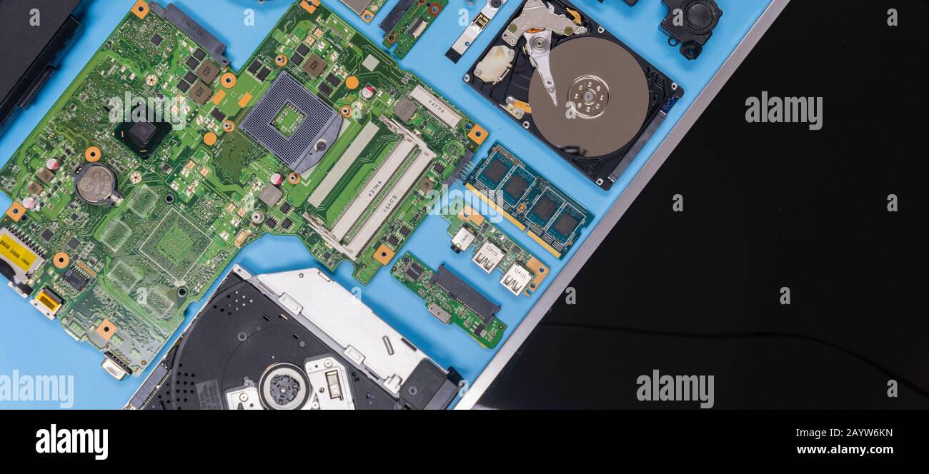 Parts of a modern computer. The insides of a laptop on a blue ...
