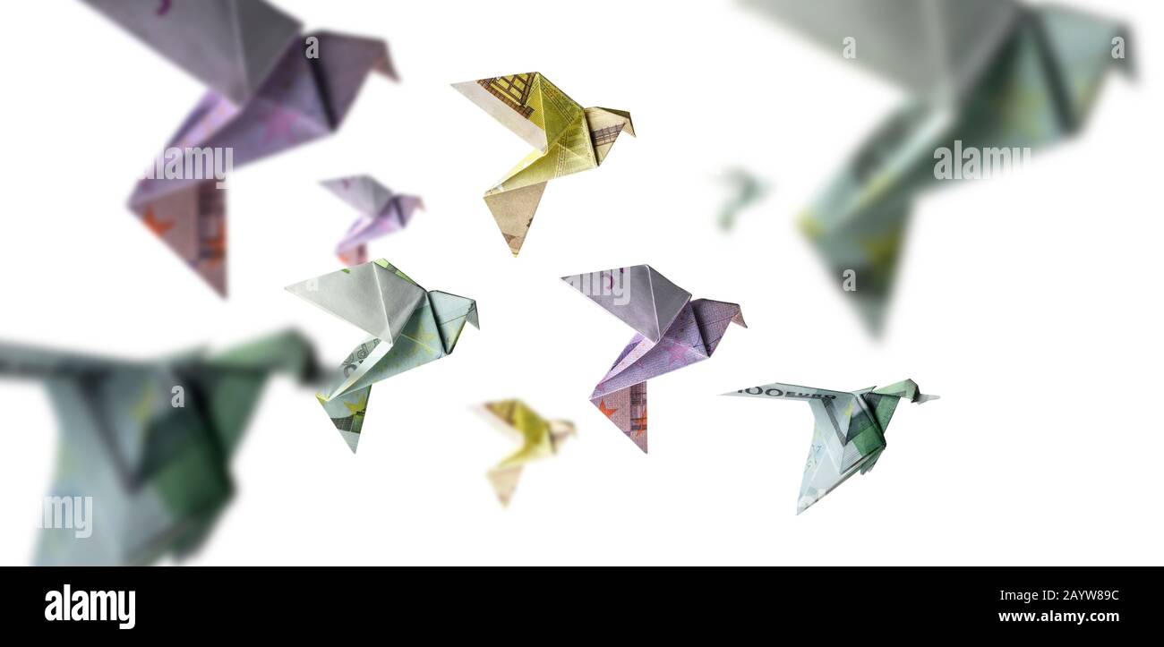 A flock of birds from Euro banknotes fly Stock Photo - Alamy