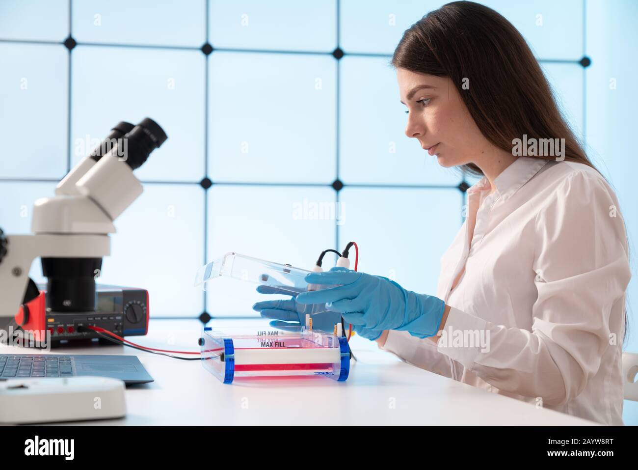 Loading Samples and Running an Agarose Gel for electrophoresis, Gel ...