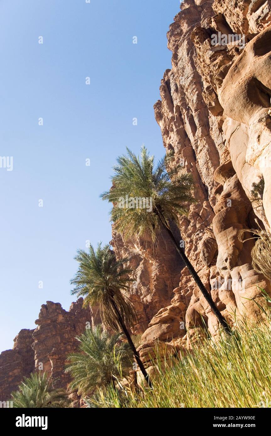 Tabuk province hi-res stock photography and images - Alamy