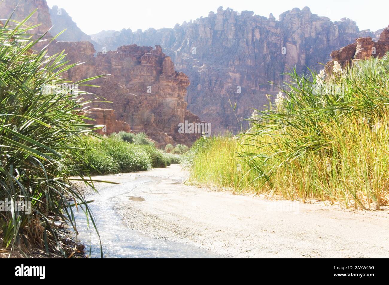 Saudi arabia tabuk province hi-res stock photography and images - Alamy