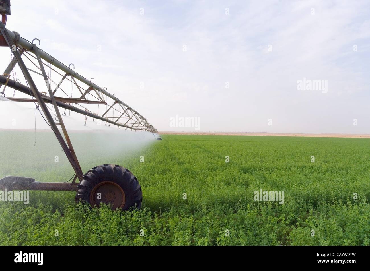 Al qassim province hi-res stock photography and images - Alamy