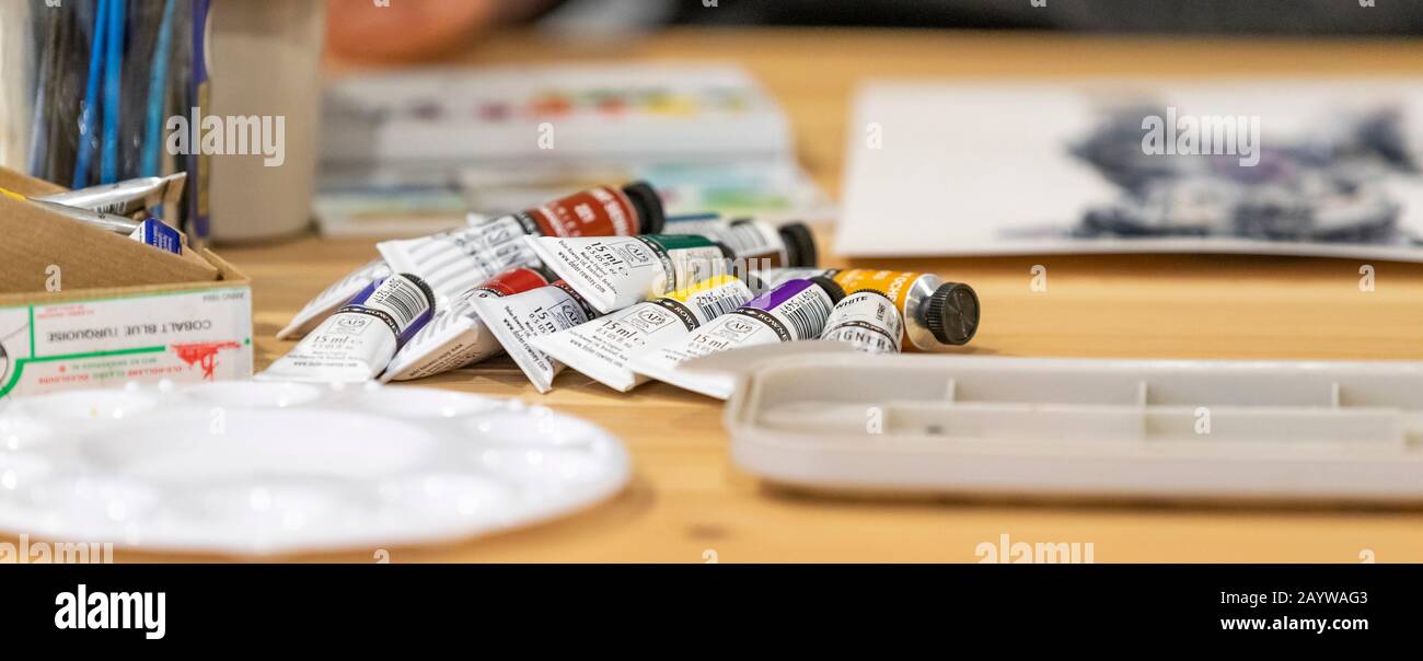Professional watercolour artist Jo Scott Art at work in her Forest of ...