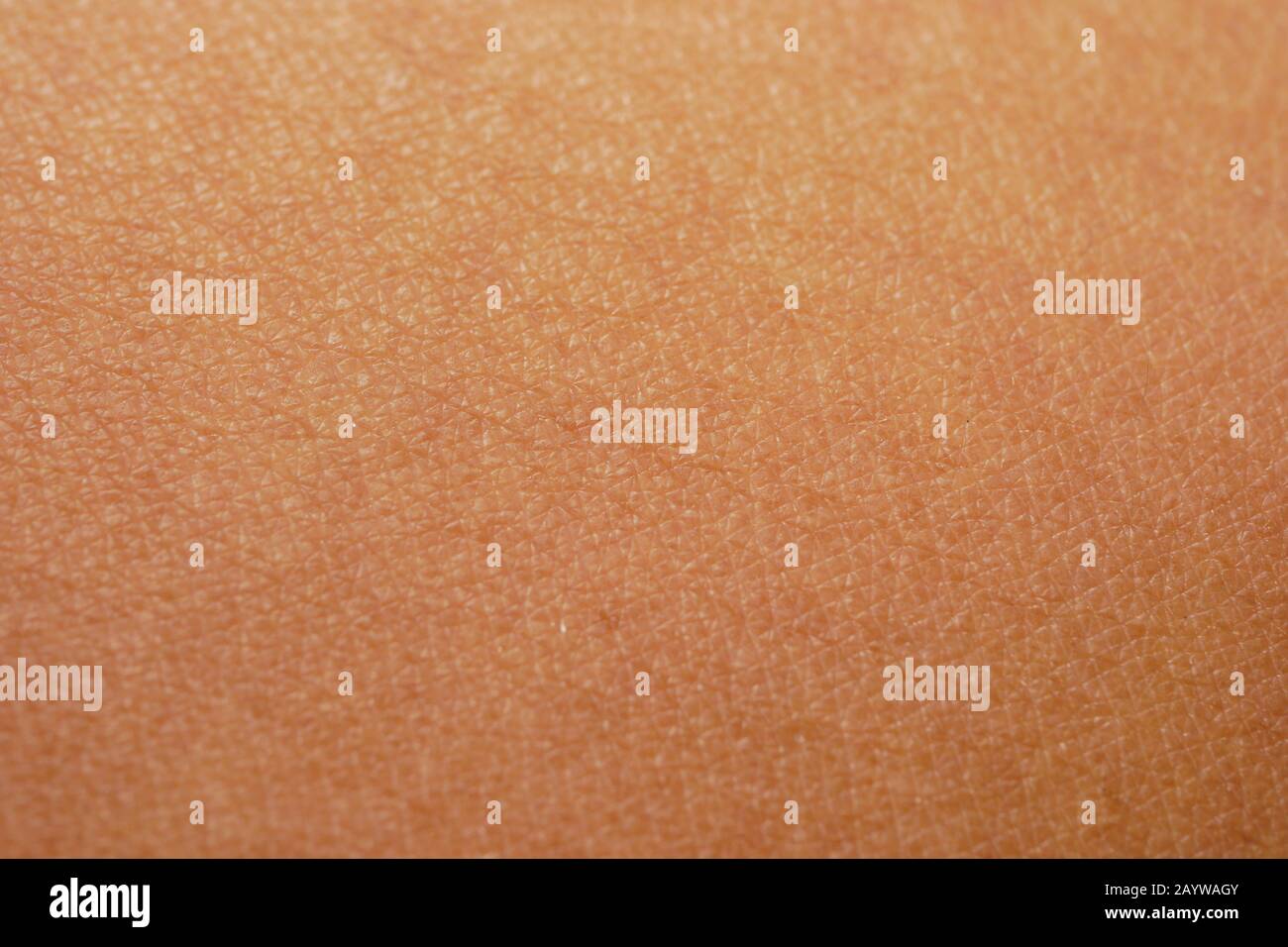 texture of the skin.Dark skin of woman hand macro. Human skin texture ...