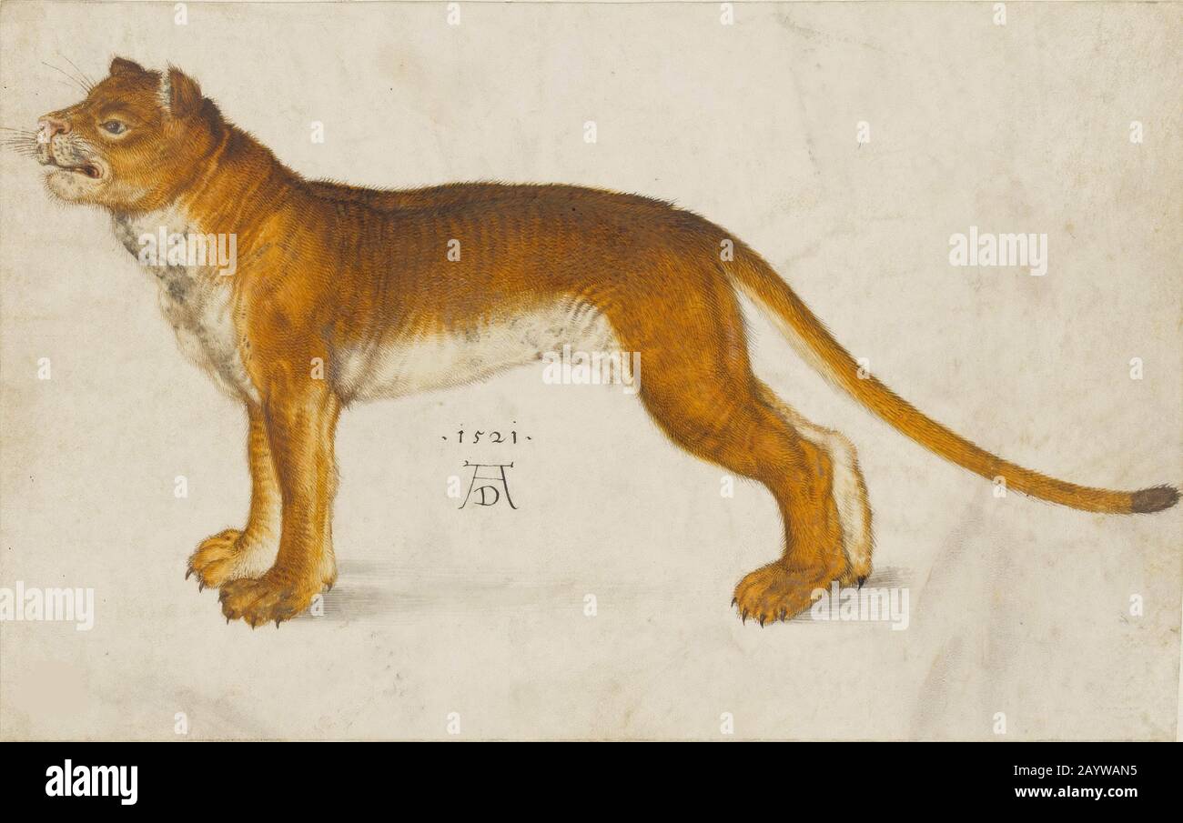 Louvre paris lions hi-res stock photography and images - Alamy