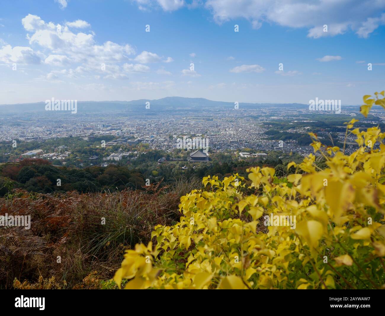 Beautiful Nara mountain at Nara city, Japan. Nara park is a famous ...