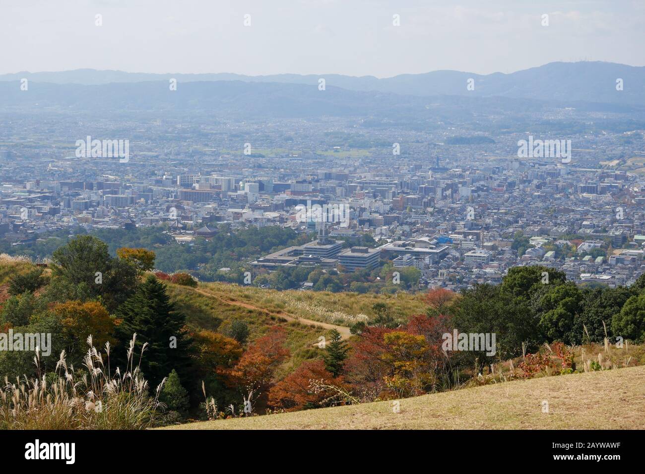 Beautiful Nara mountain at Nara city, Japan. Nara park is a famous ...