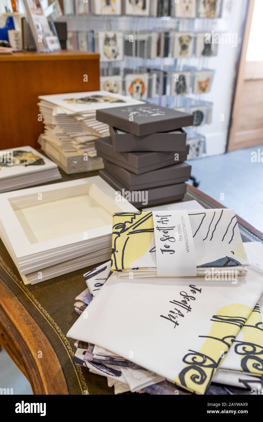 Professional watercolour artist Jo Scott Art at work in her Forest of ...