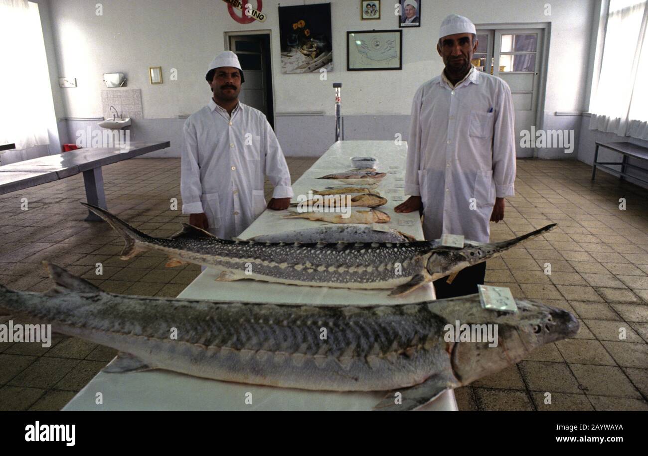 Iranian caviar hi-res stock photography and images - Alamy