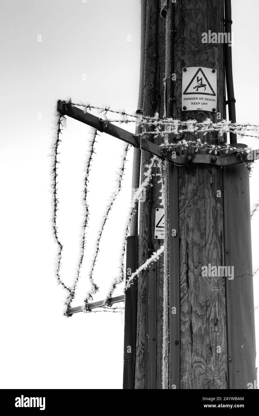 Views around a very cold and frozen Cowpen Bewley Woodland Park ...
