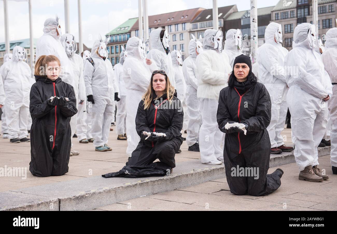 Dead rabbits hi-res stock photography and images - Alamy