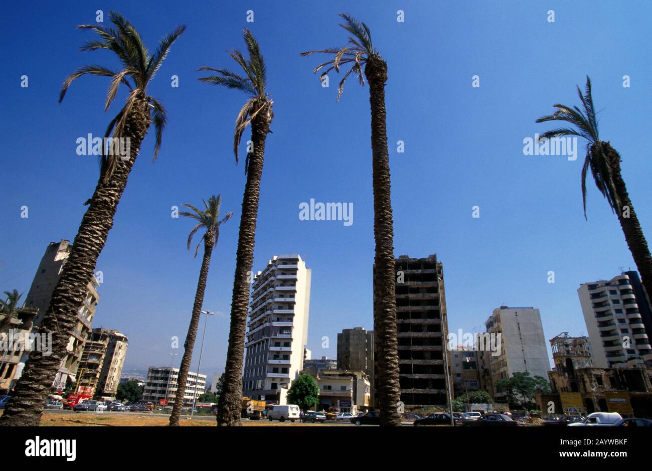 Beirut palm trees hi-res stock photography and images - Alamy