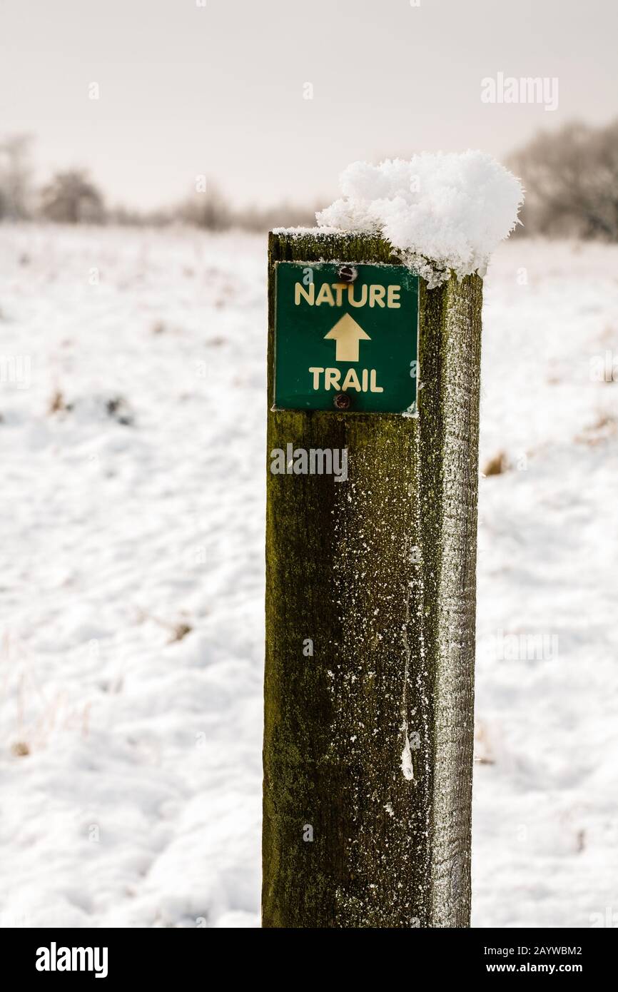 Views around a very cold and frozen Cowpen Bewley Woodland Park ...