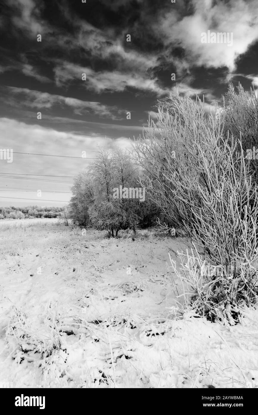 Views around a very cold and frozen Cowpen Bewley Woodland Park ...