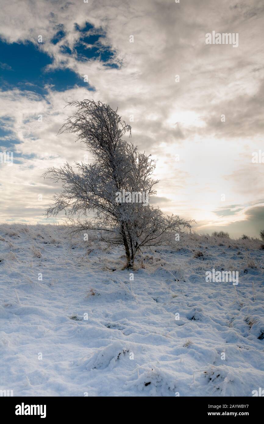 Views around a very cold and frozen Cowpen Bewley Woodland Park ...