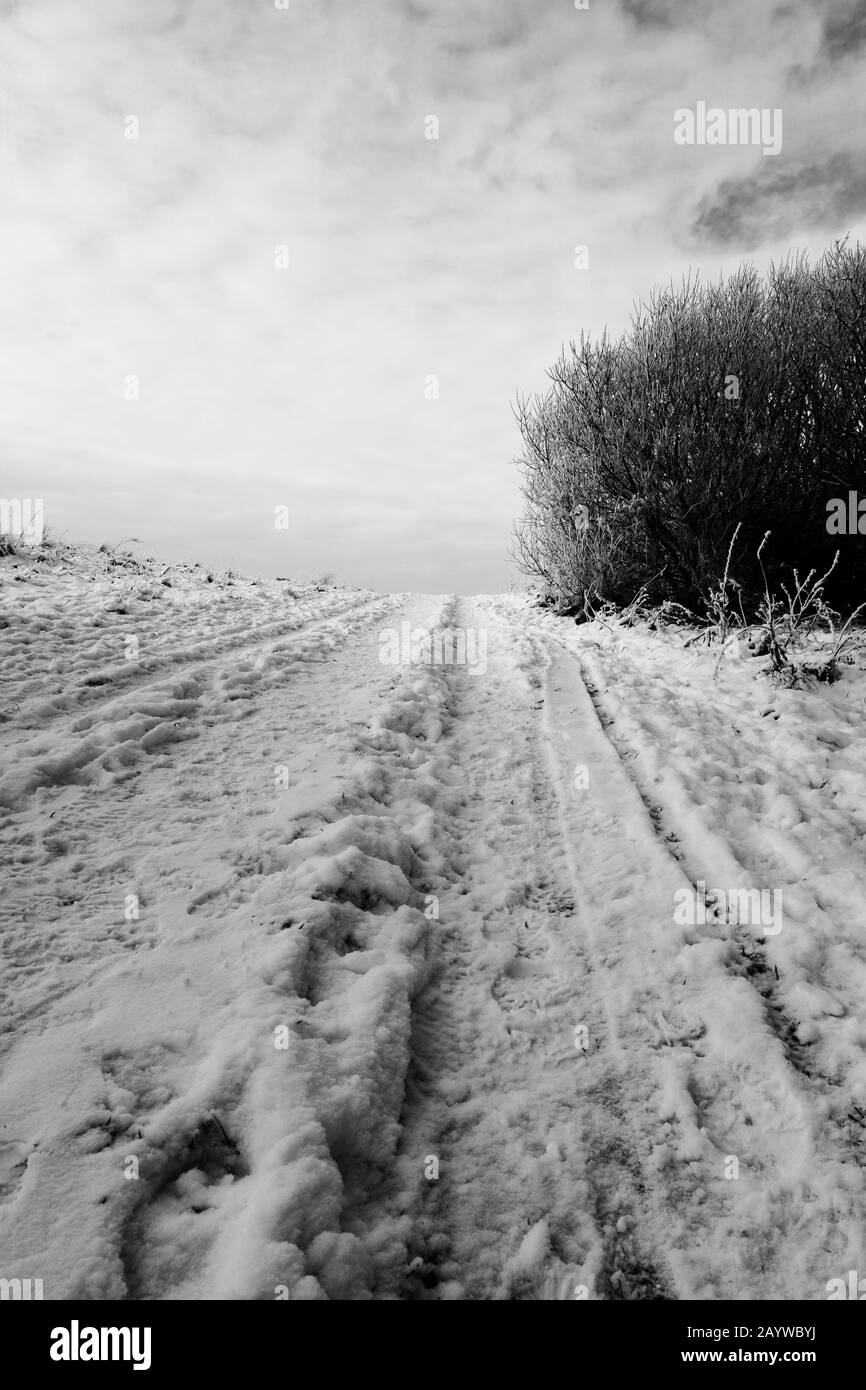 Views around a very cold and frozen Cowpen Bewley Woodland Park ...